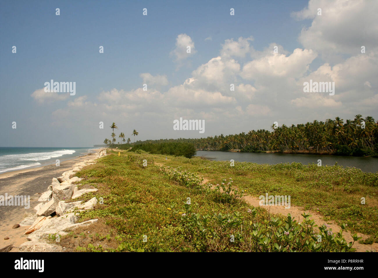 Where Beach Meets Backwaters, Kerala Coast, India Stock Photo - Alamy