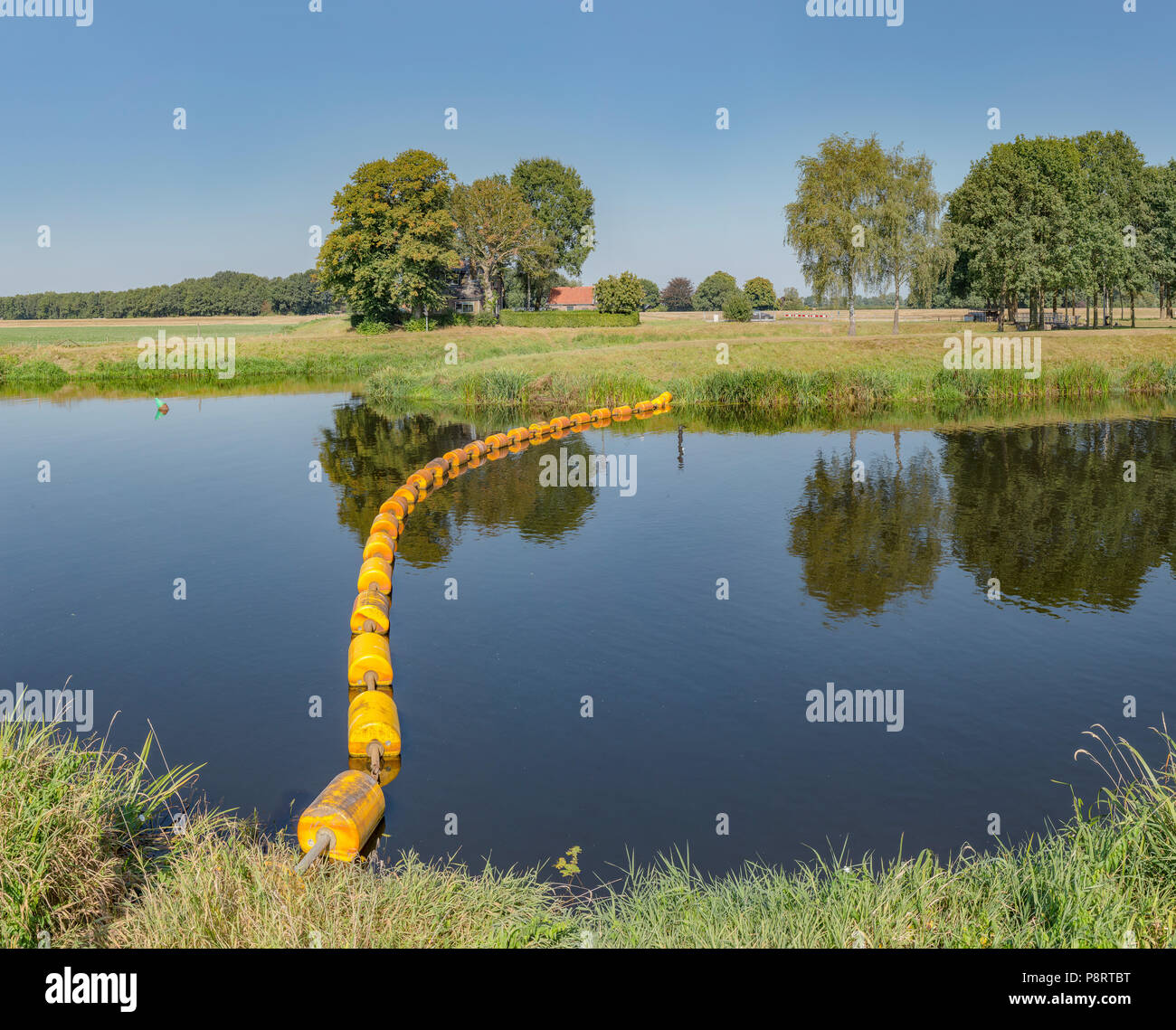 Yellow floats bloch the river Vecht, Broekhuizen, Overijssel Stock ...