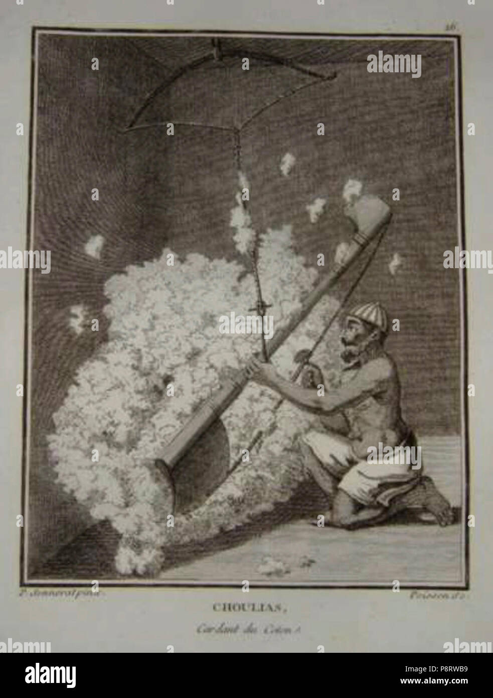 Cotton carder hi-res stock photography and images - Alamy