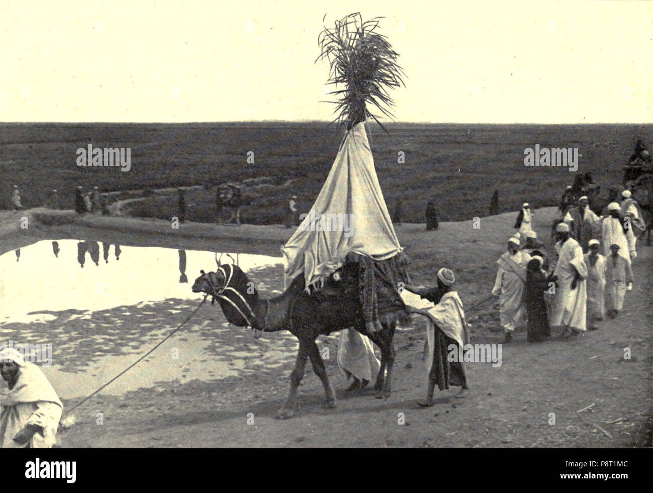 Bridal bower hi-res stock photography and images - Alamy