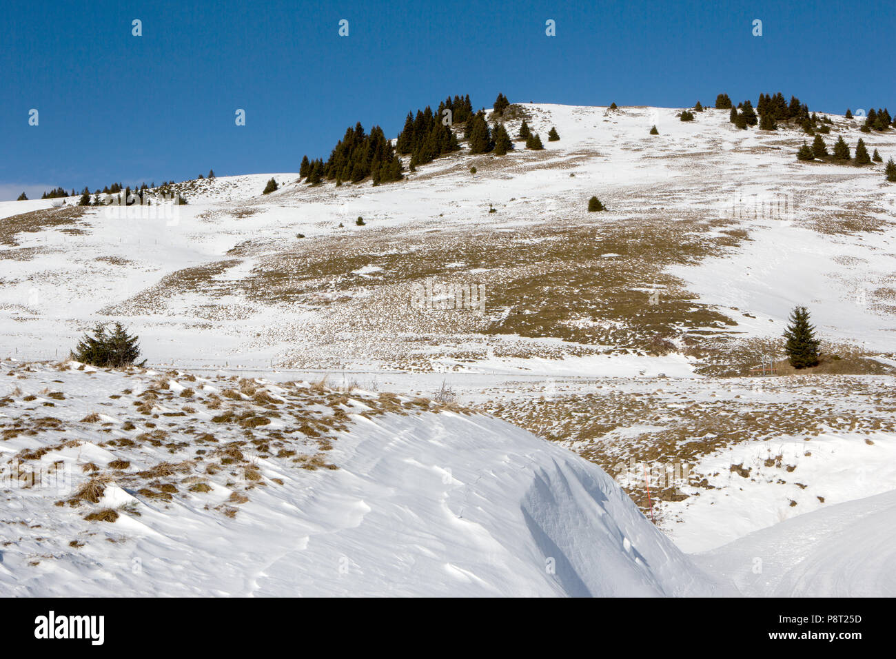 Sparse snow on Swiss pistes Stock Photo - Alamy