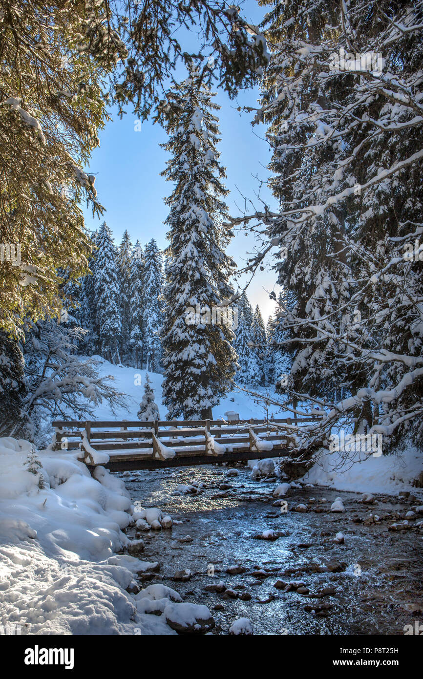 Covered bridge with stream and forest hi-res stock photography and ...