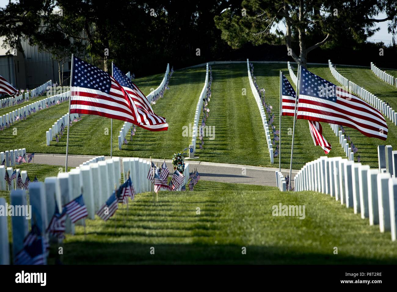 Star-Spangled Banners flying in the wind over seemingly infinite rows ...
