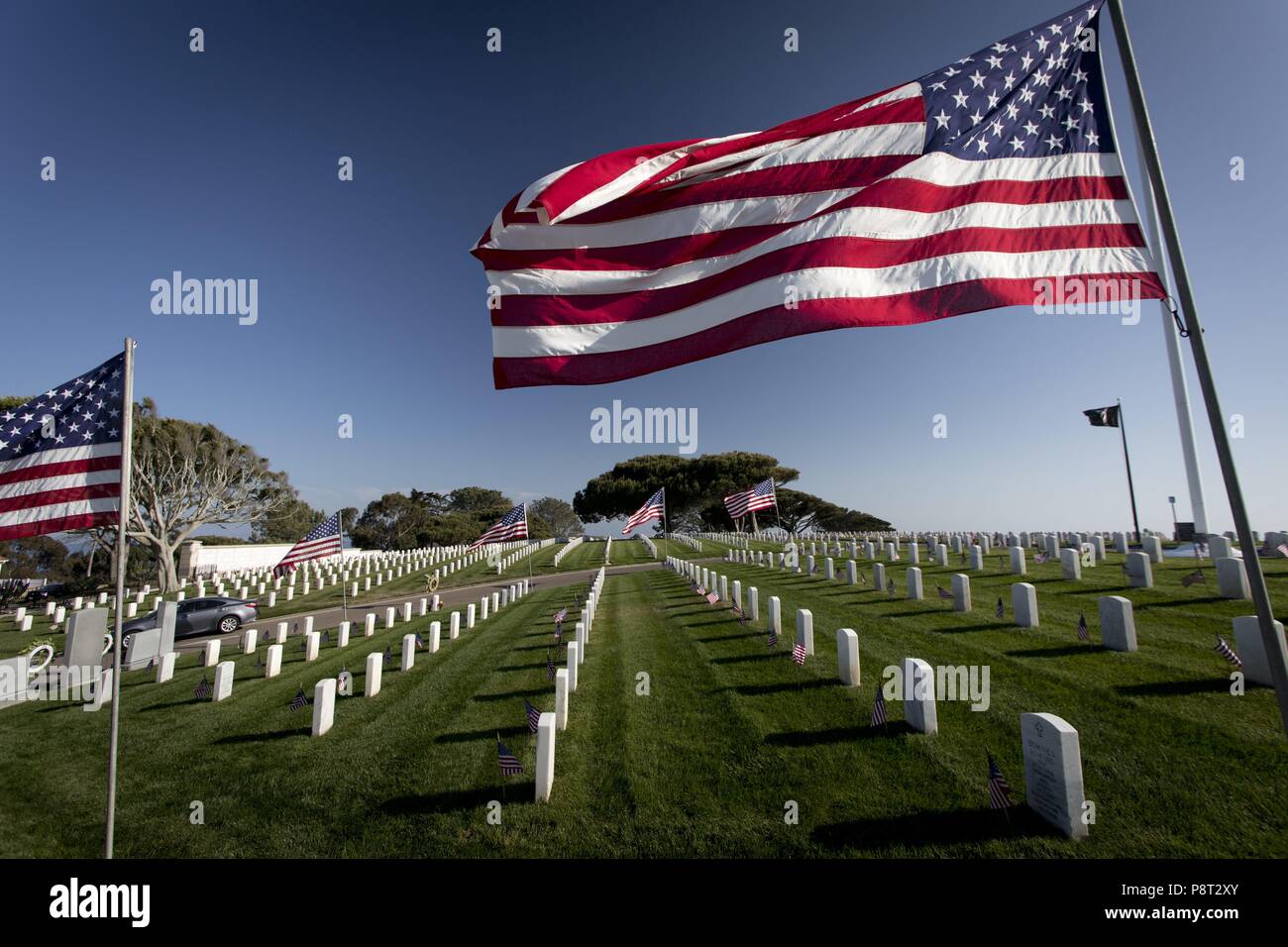 Star-Spangled Banners flying in the wind over rows of tombstones at ...