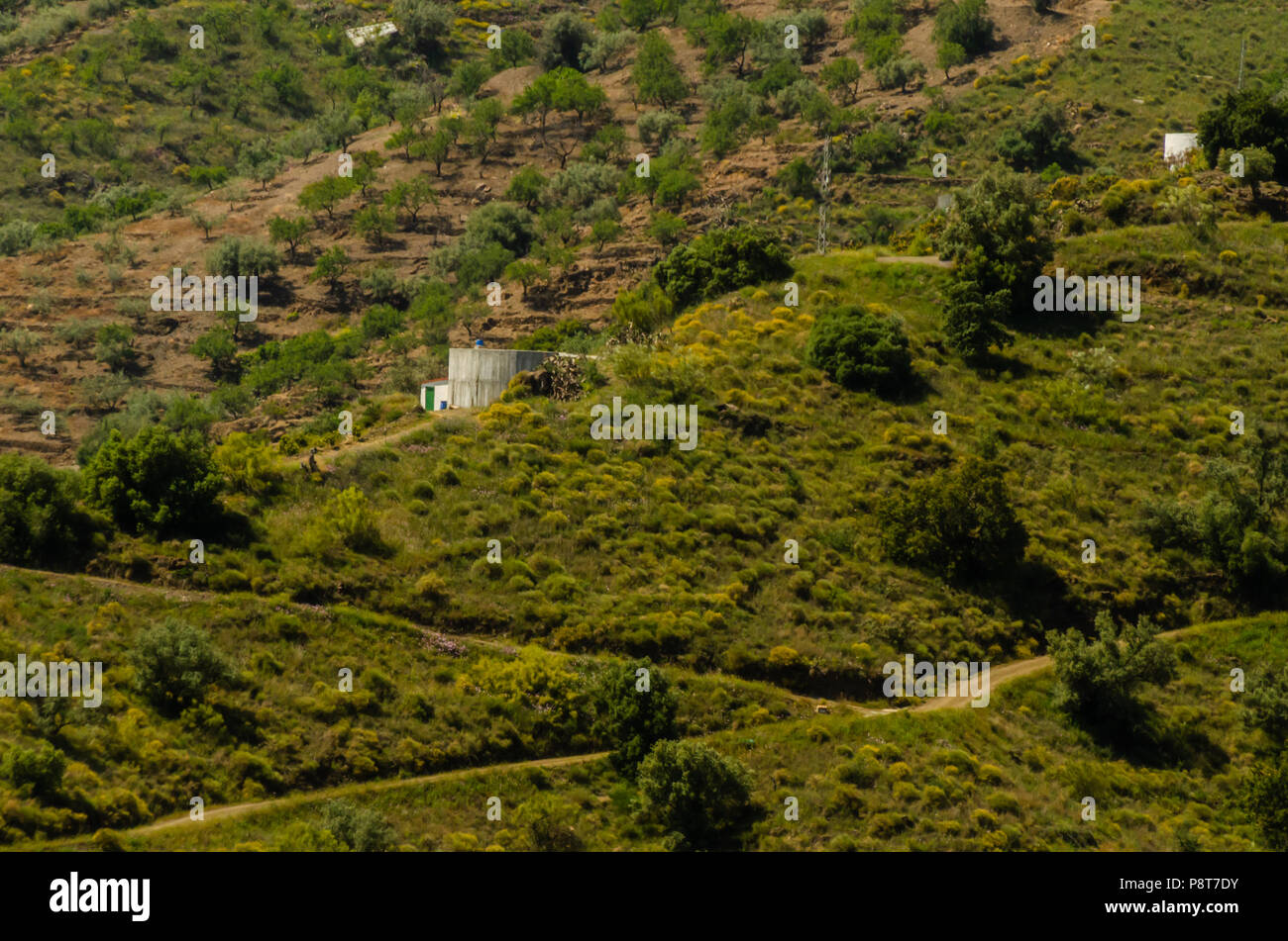 typical spanish village houses and farmland in the hills of andalusia ...