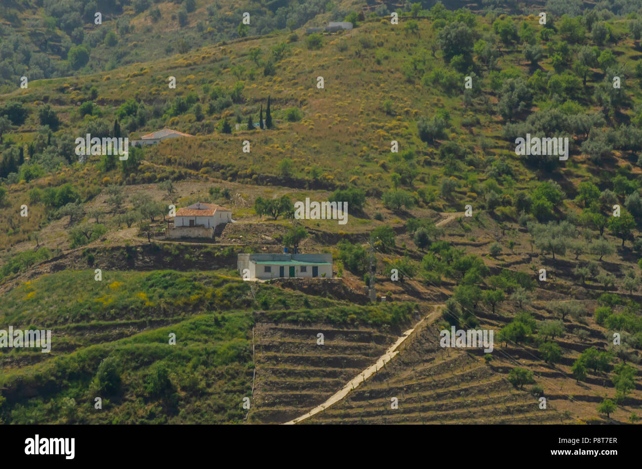typical spanish village houses and farmland in the hills of andalusia ...