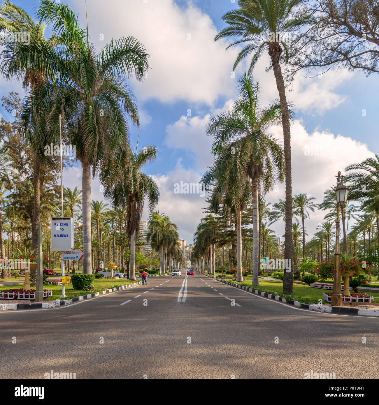 Cairo alexandria road hi-res stock photography and images - Alamy