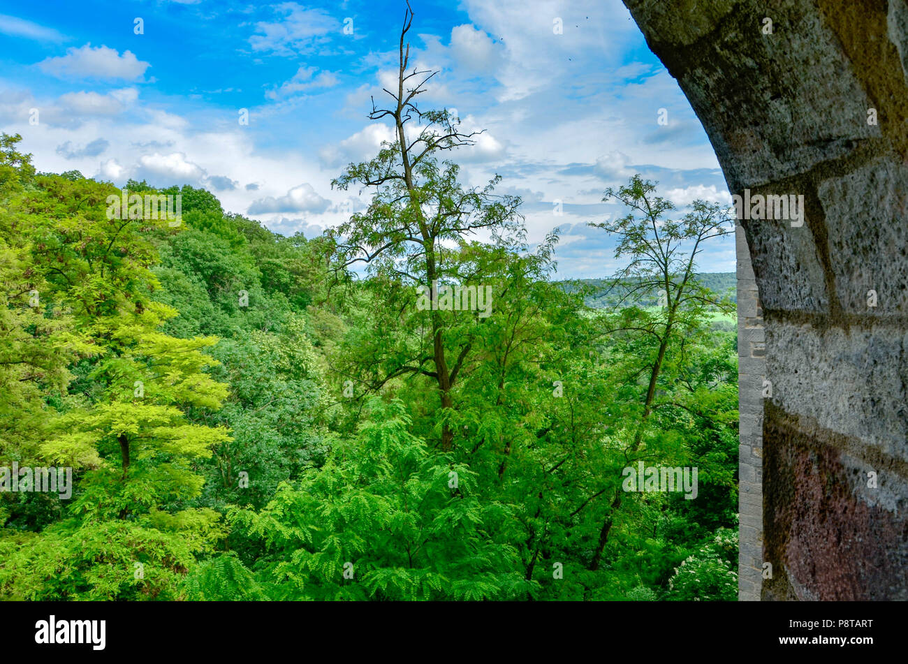 window with forest view Stock Photo - Alamy