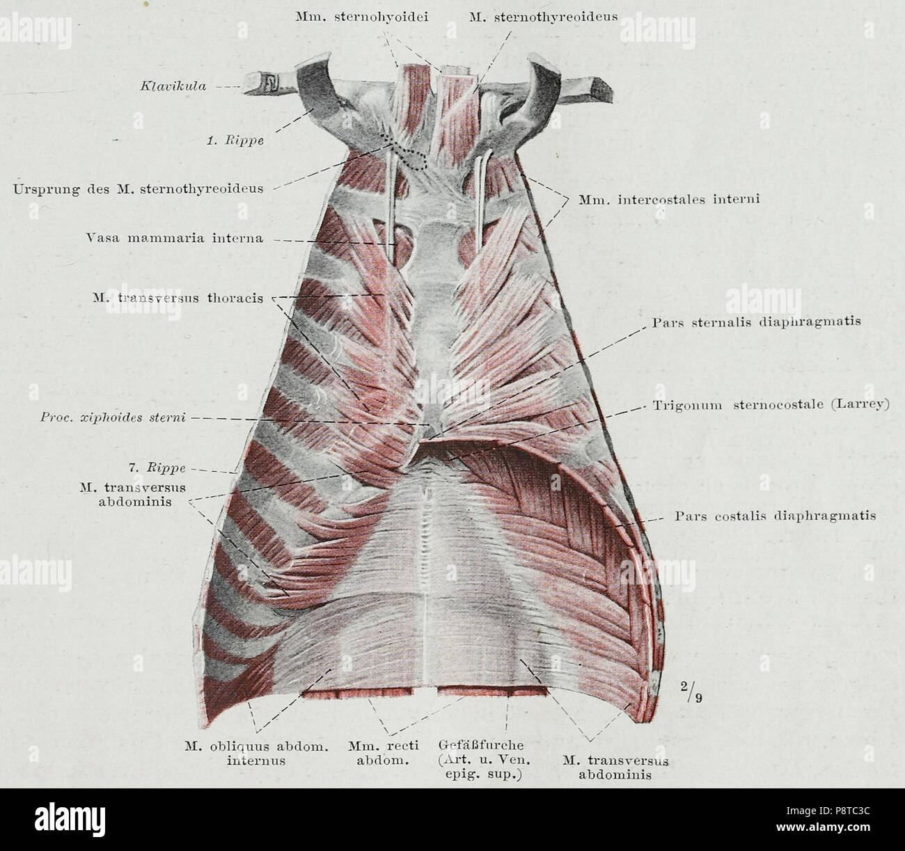 Braus 1921 hi-res stock photography and images - Alamy