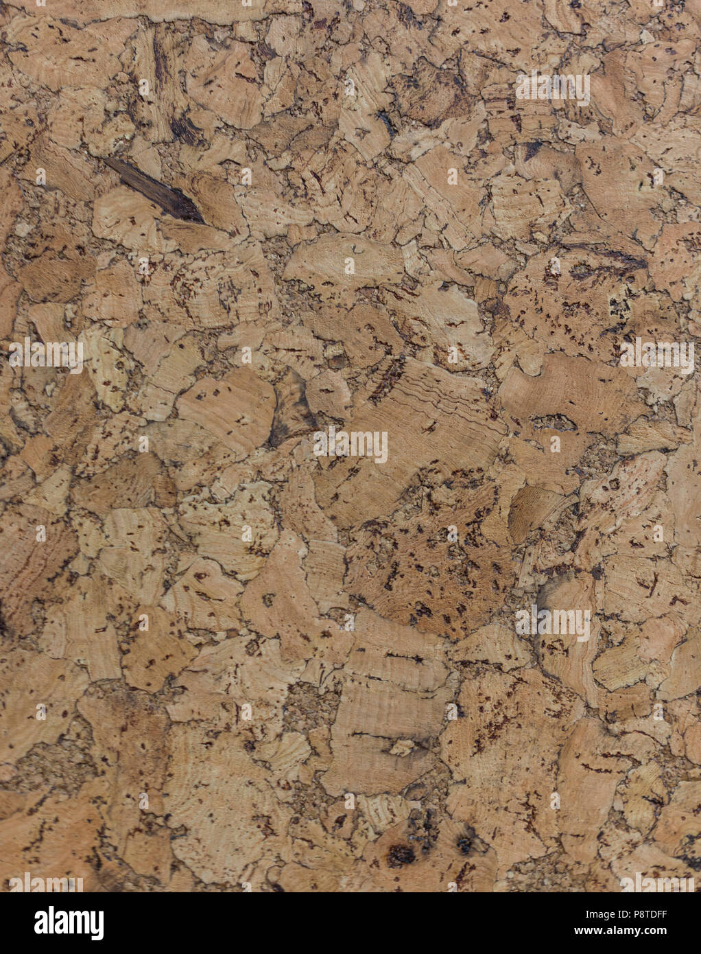 Closed up of brown cork board texture background Stock Photo - Alamy