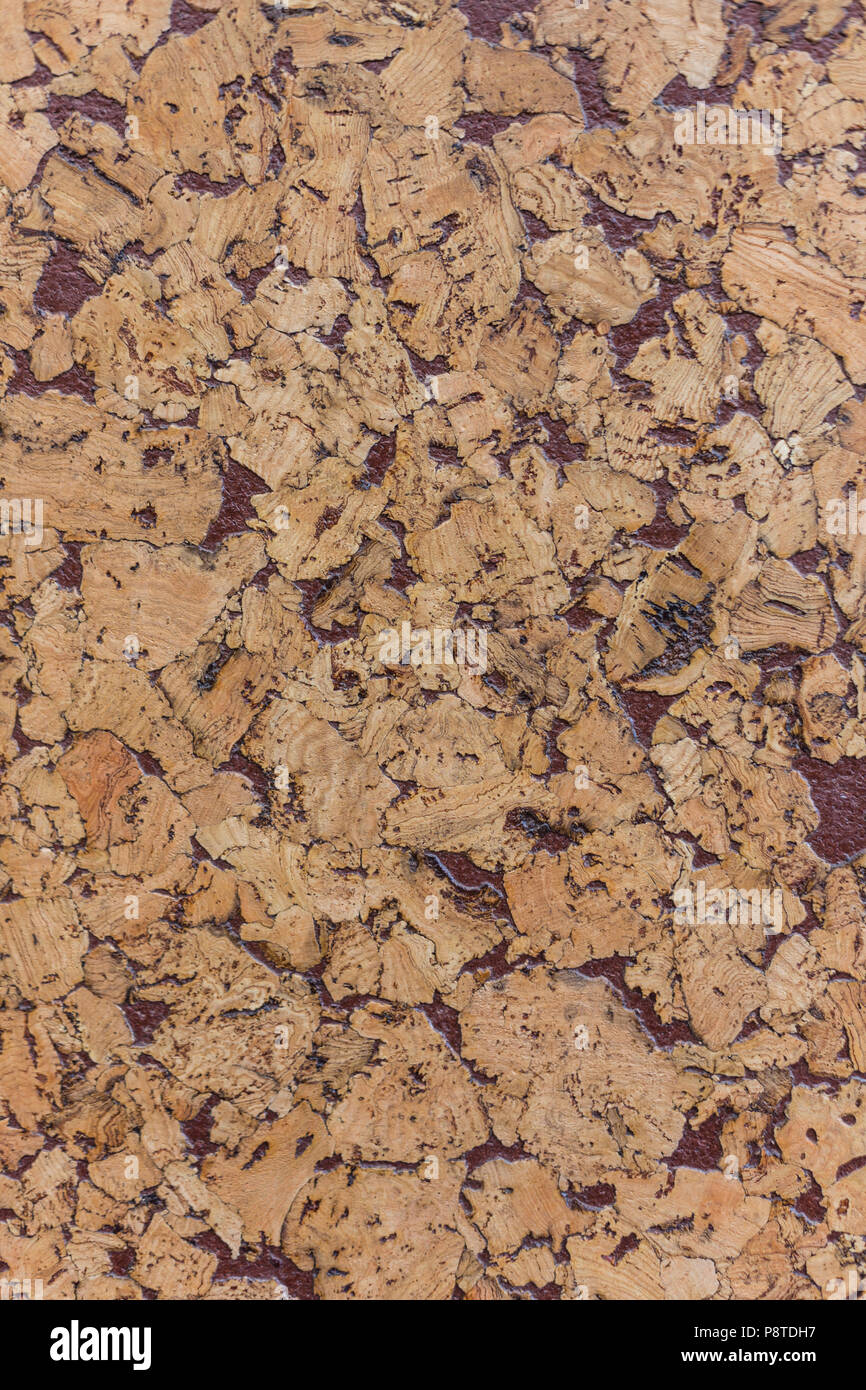 Closed up of brown cork board texture background Stock Photo - Alamy