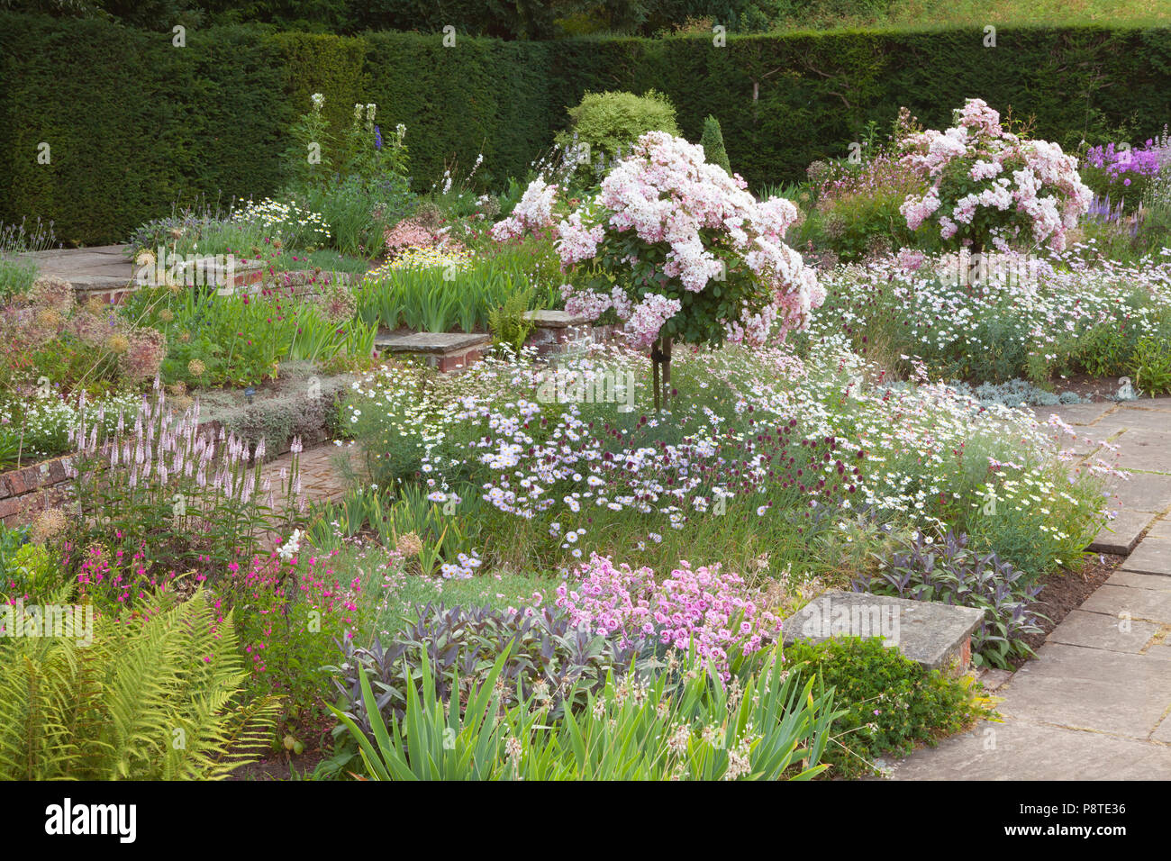 Newby Hall and Gardens, Ripon, North Yorkshire, UK. Summer, July 2018 ...