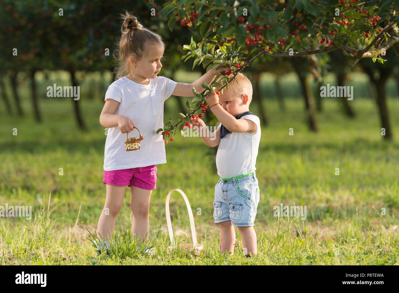 Kids playing on a farm hi-res stock photography and images - Alamy