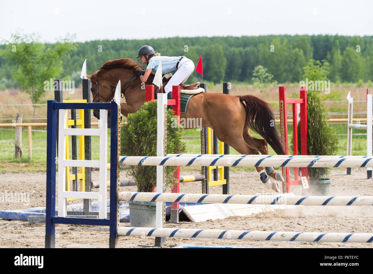 Equestrian Sports, Horse jumping, Show Jumping, Horse Riding Stock ...