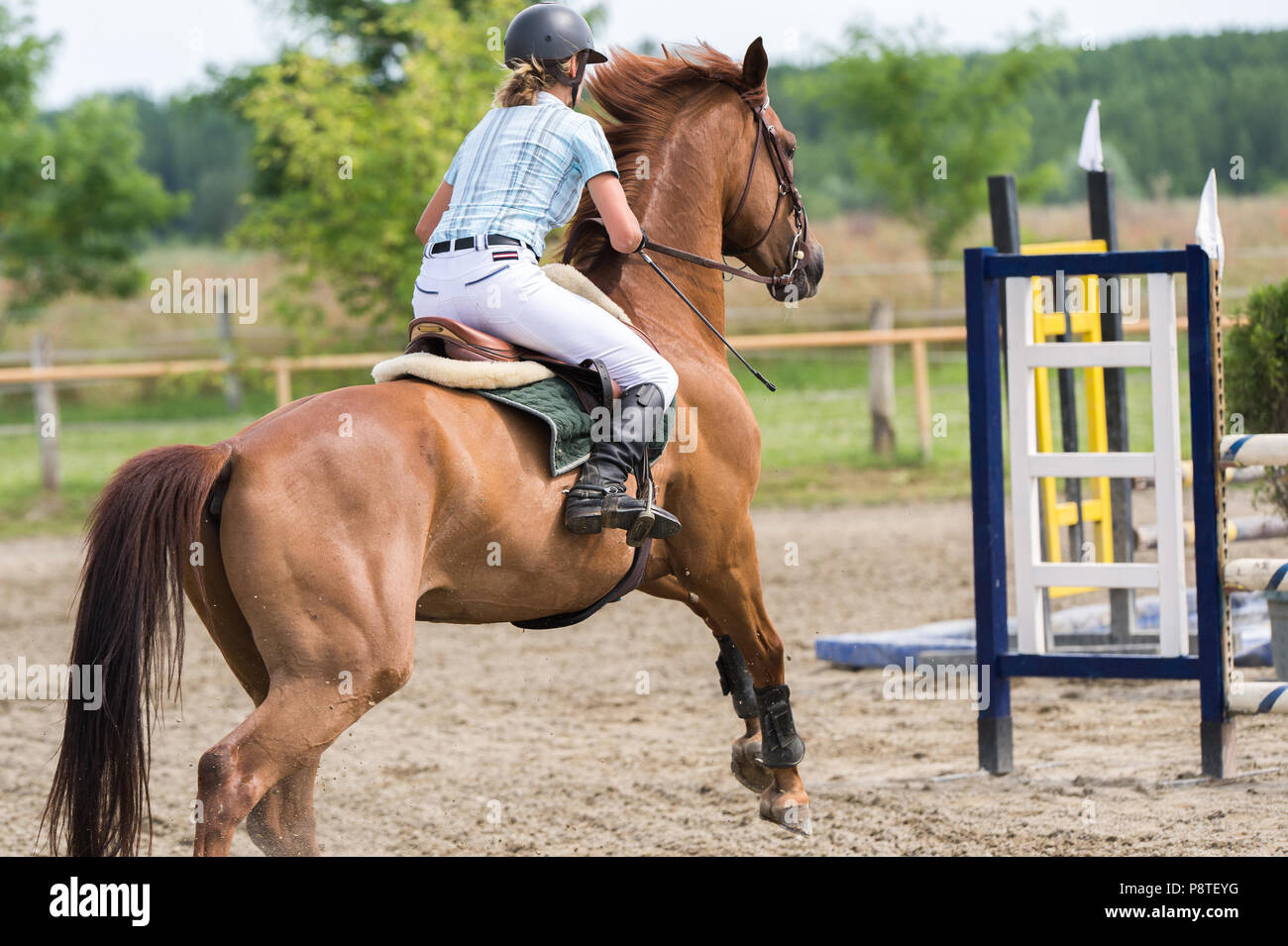 Equestrian Sports, Horse jumping, Show Jumping, Horse Riding Stock ...