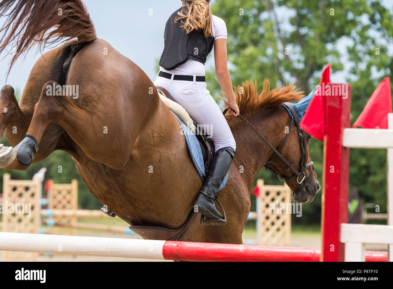 Equestrian Sports, Horse jumping, Show Jumping, Horse Riding Stock ...