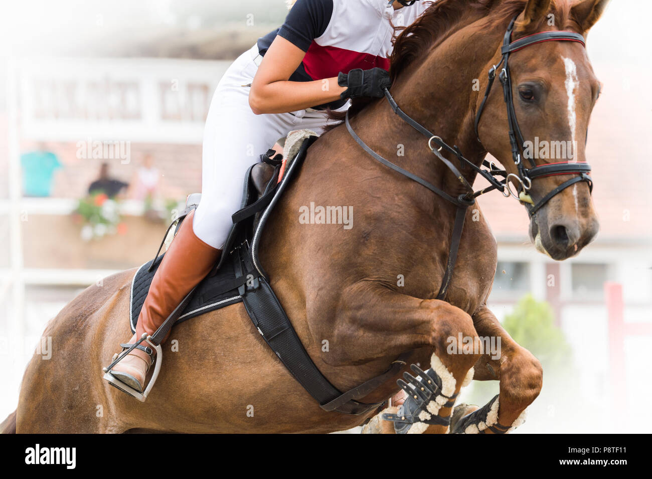 Equestrian Sports, Horse jumping, Show Jumping, Horse Riding Stock ...