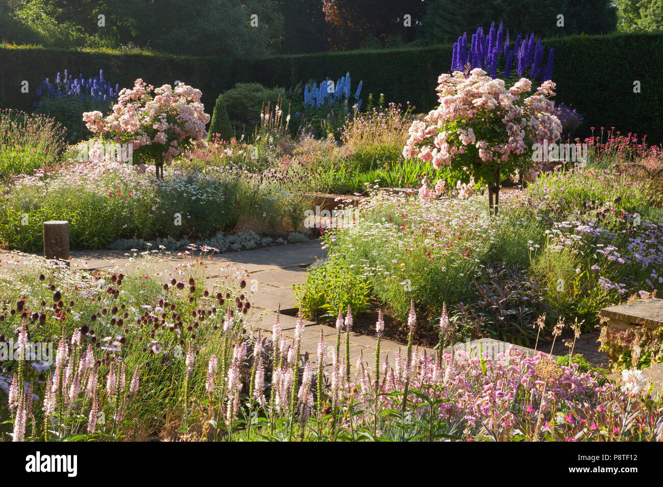 Newby Hall and Gardens, Ripon, North Yorkshire, UK. Summer, July 2018 ...