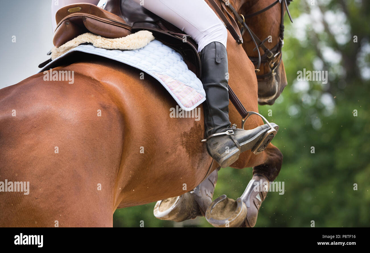 Horse Riding, Dressage themed photo Stock Photo - Alamy