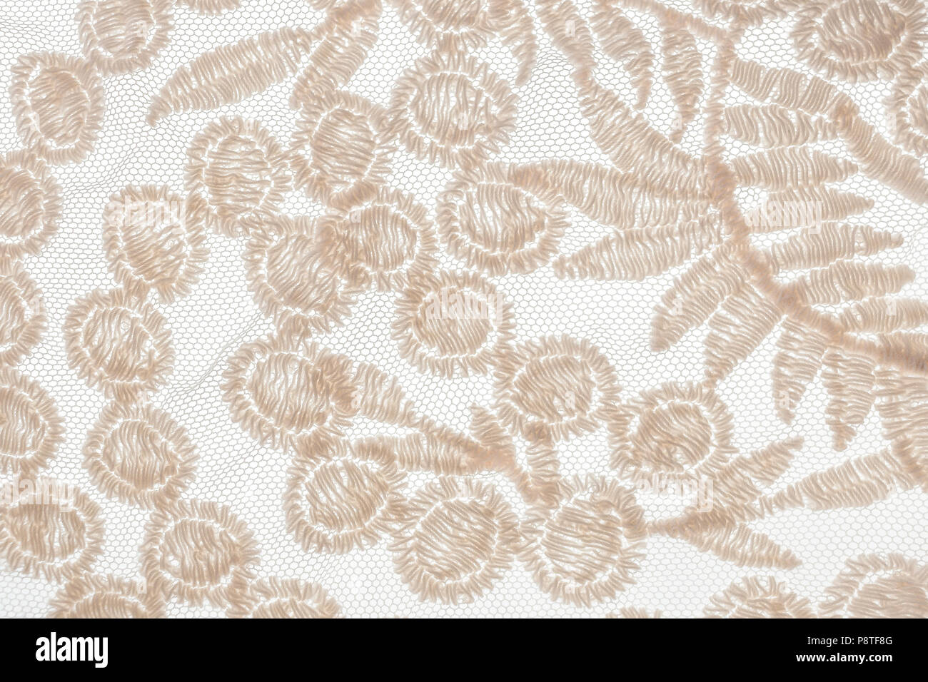 Romantic beige embroidered lacy canvas on white background Stock Photo ...