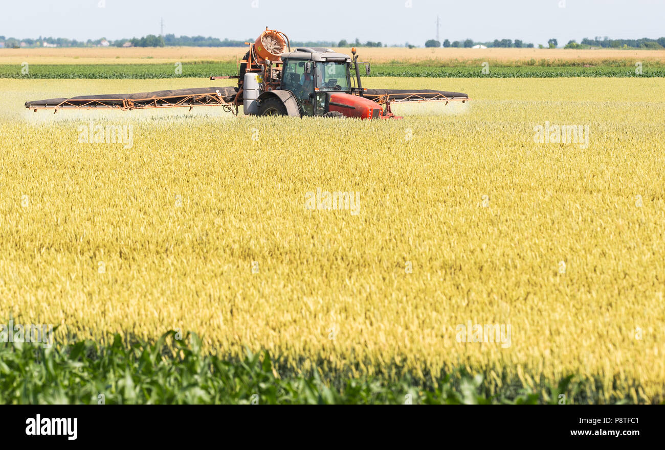 Tractor spraying wheat field with sprayer Stock Photo - Alamy