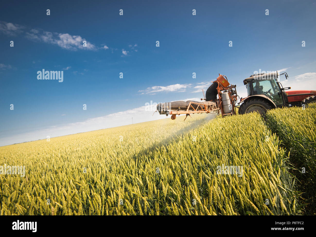 Tractor spraying wheat field with sprayer Stock Photo - Alamy