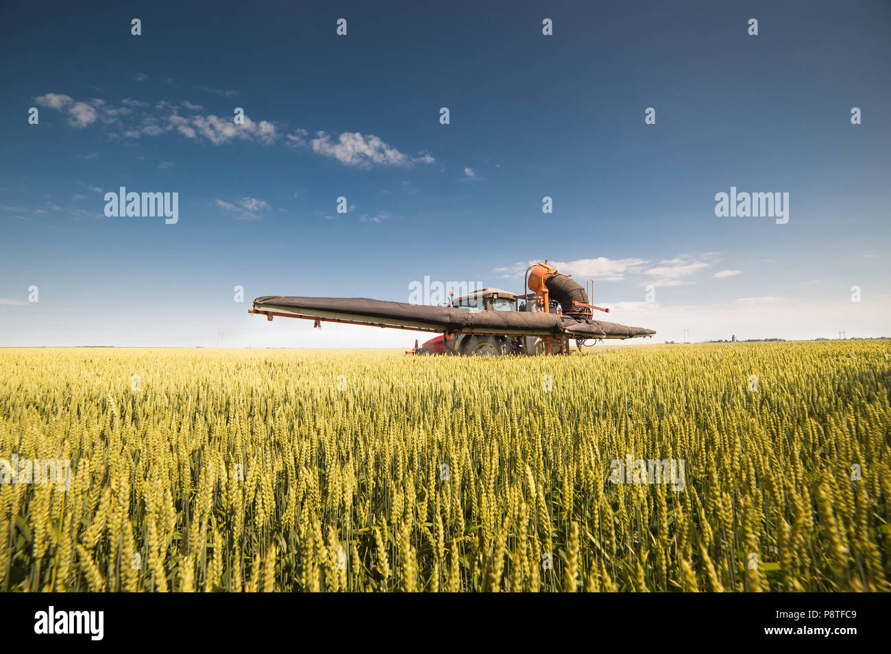 Tractor spraying wheat field with sprayer Stock Photo - Alamy