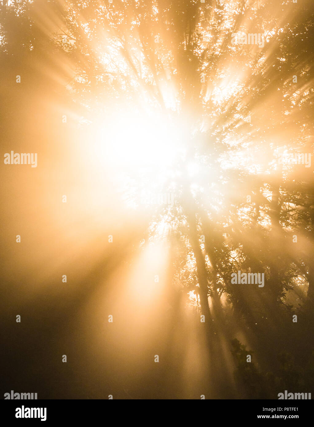 Sunrays images hi-res stock photography and images - Alamy