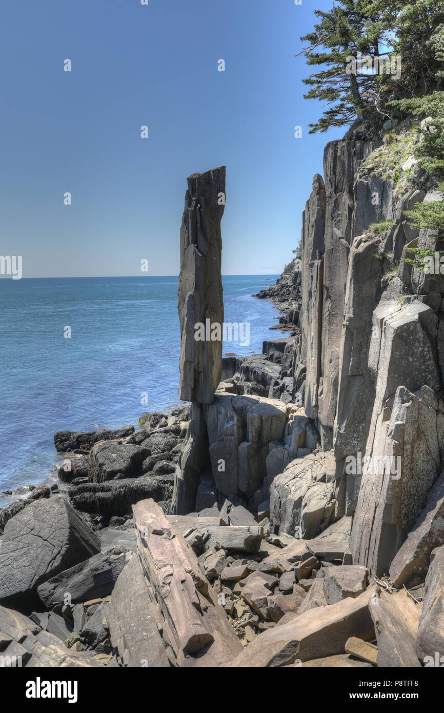 Digby neck hi-res stock photography and images - Alamy