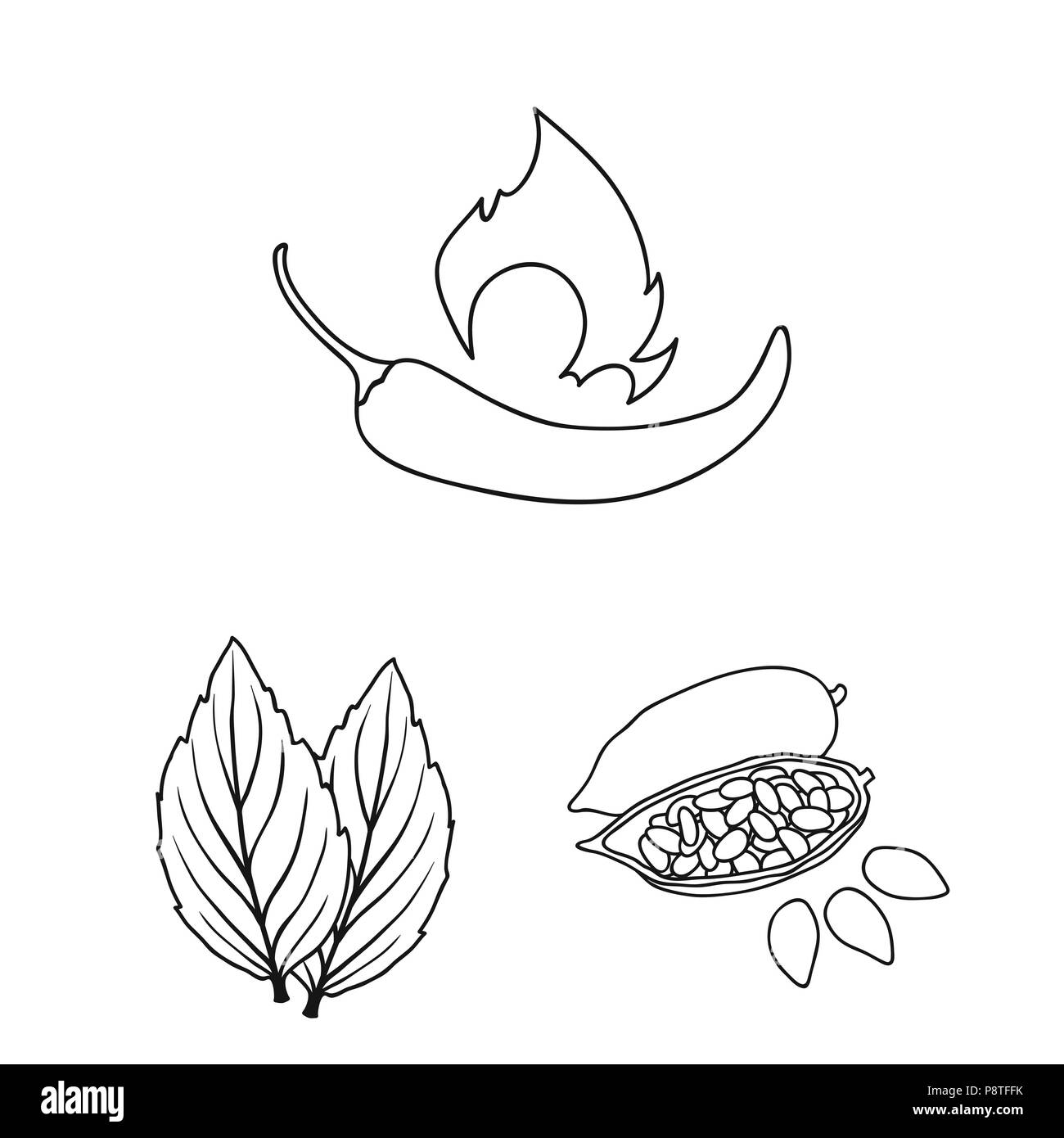 Herb and spices outline icons in set collection for design.Different ...
