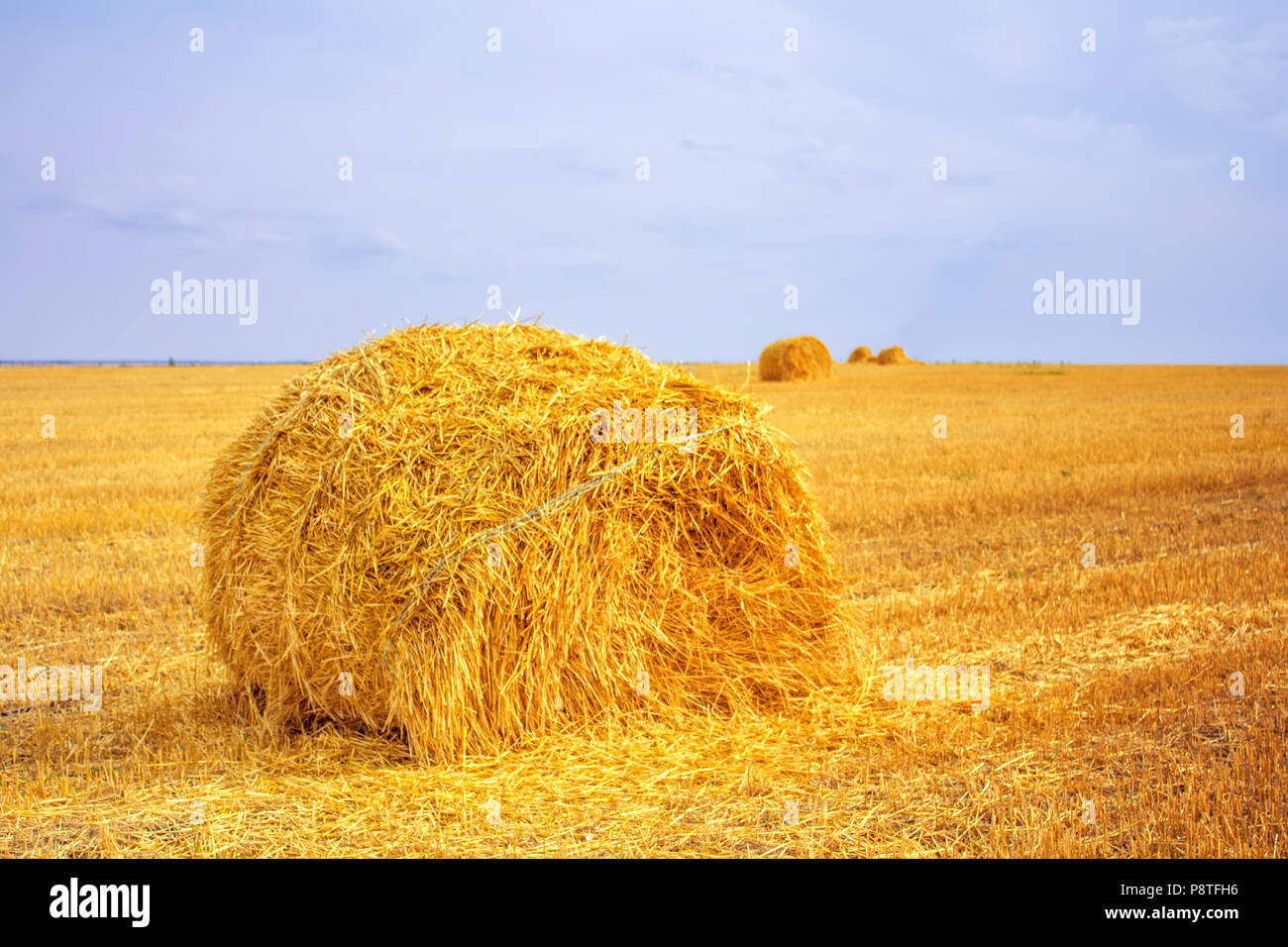 Rolls of haystacks on the field hi-res stock photography and images - Alamy