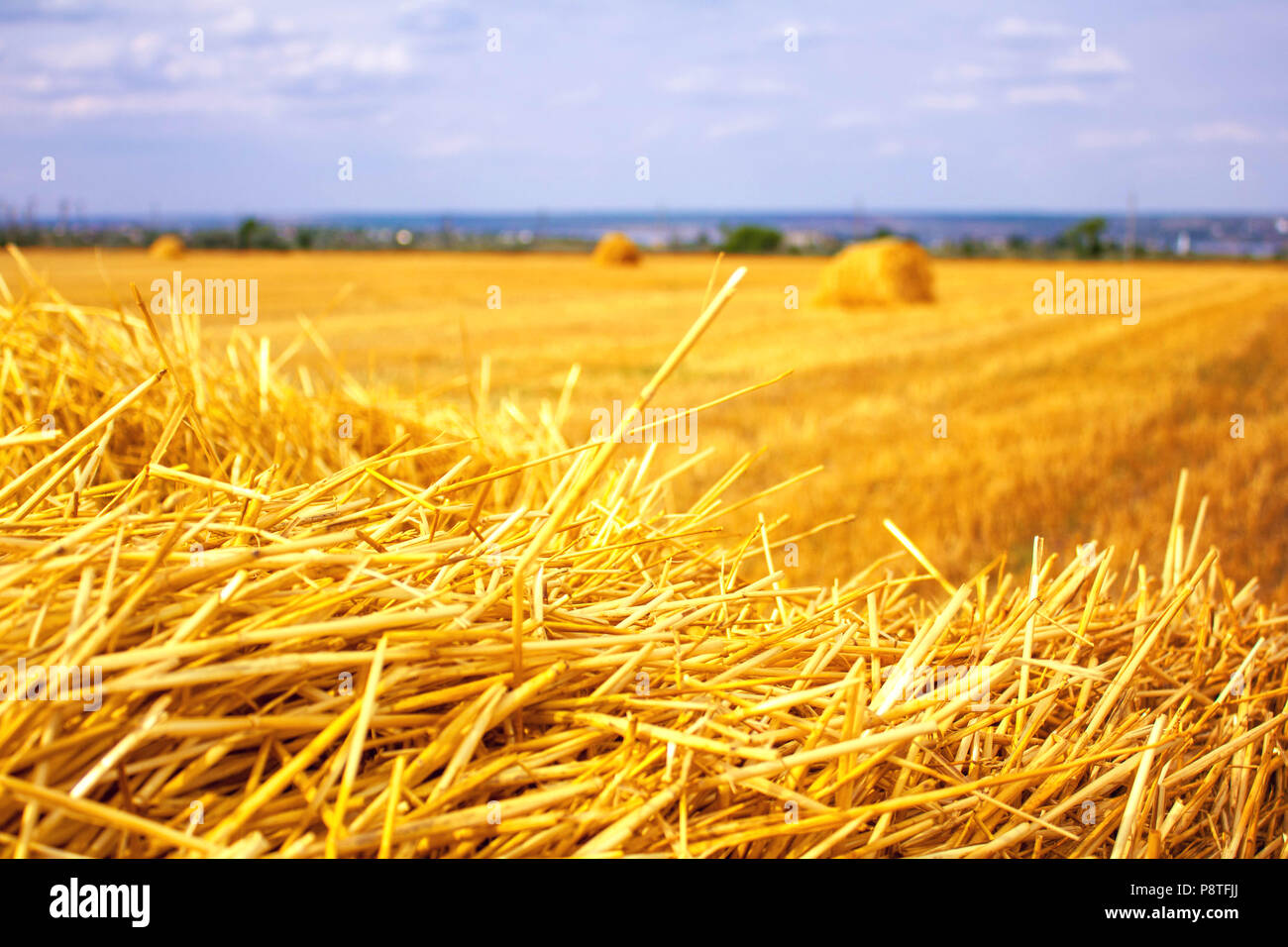 Rolls of haystacks hi-res stock photography and images - Alamy