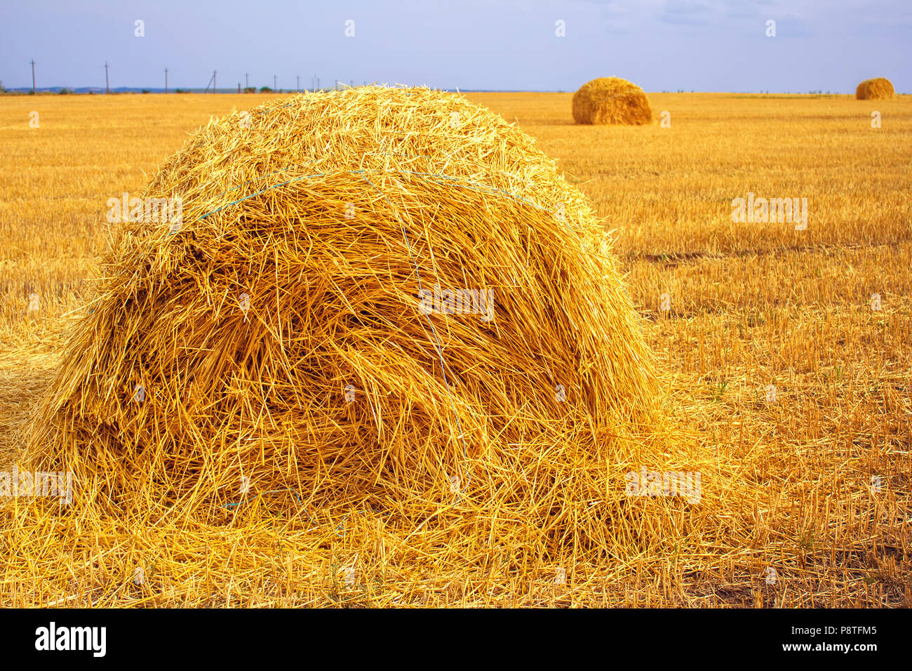 Rolls of haystacks hi-res stock photography and images - Alamy