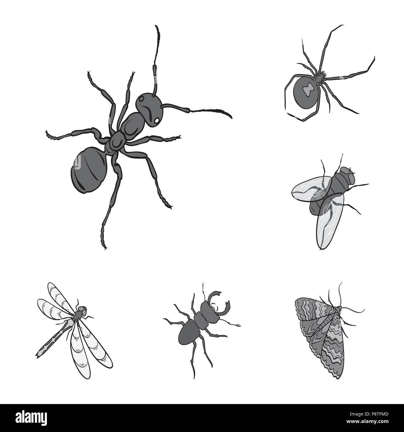 Different kinds of insects monochrome icons in set collection for ...