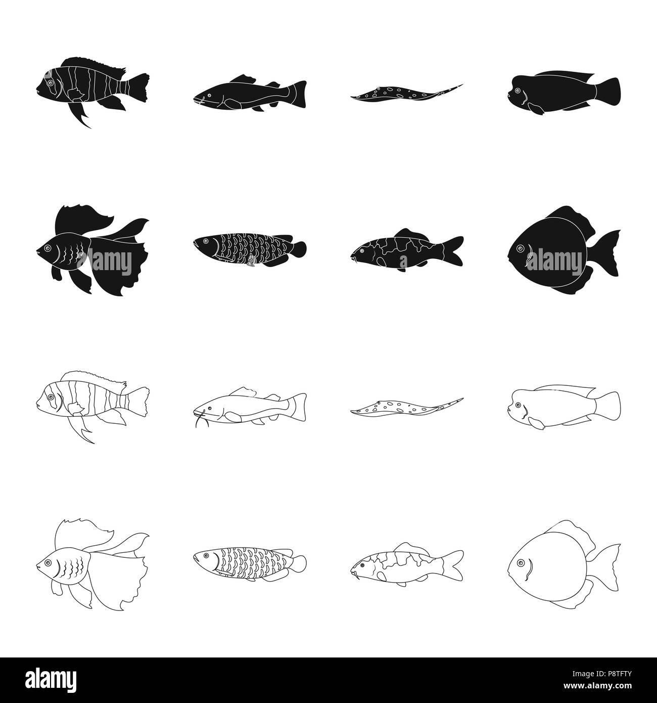 Discus, gold, carp, koi, scleropages, fotmosus.Fish set collection ...