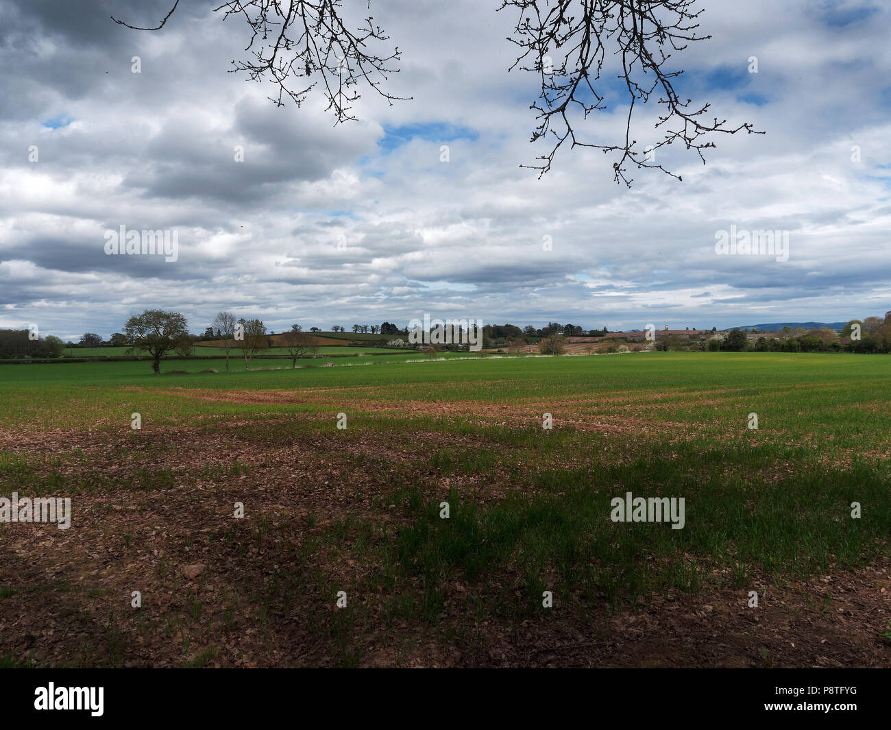 The Brian Hatton Trail, is self-guided walk around the 'Hatton Country ...