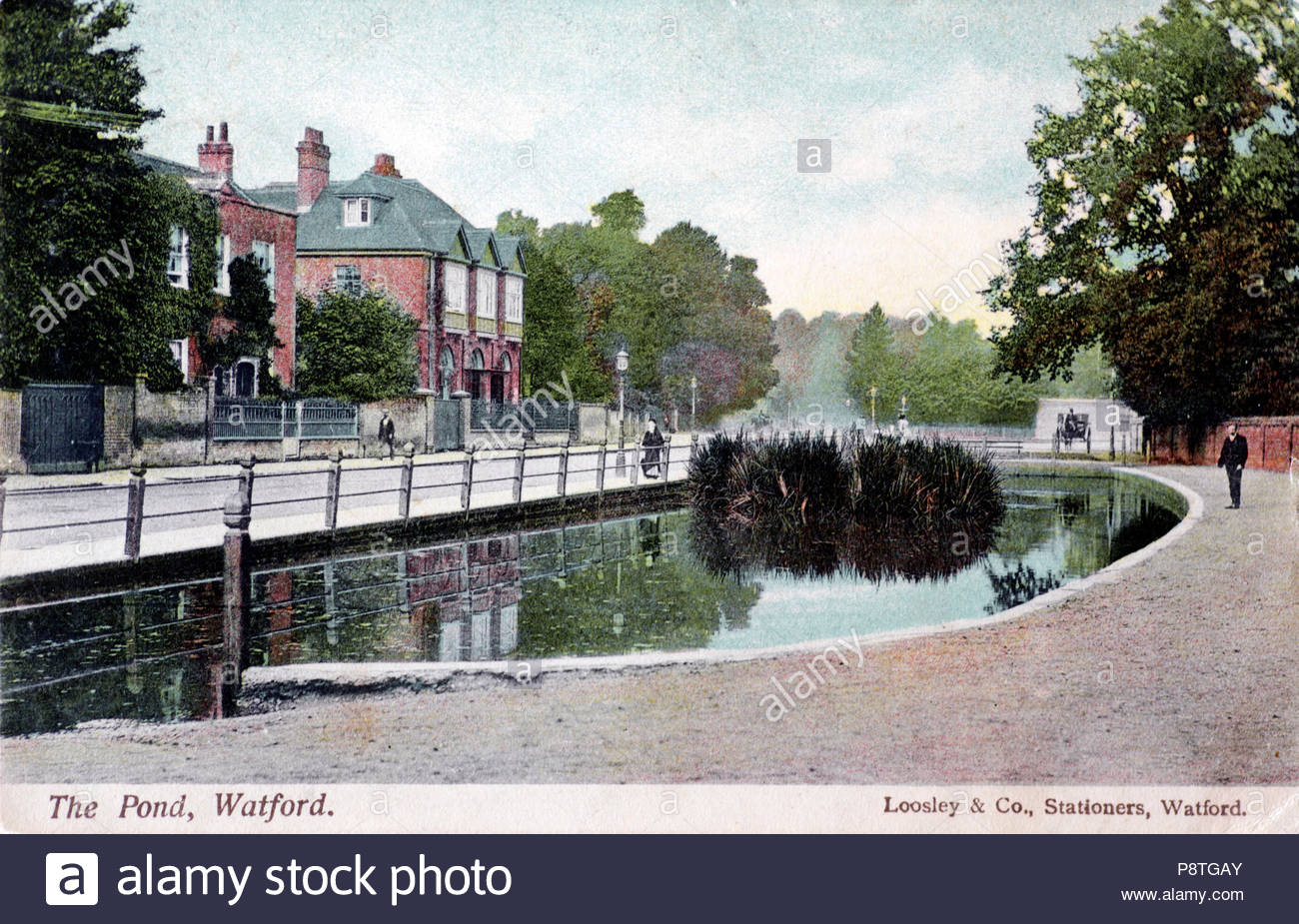 The Pond Watford, vintage postcard from 1905 Stock Photo - Alamy