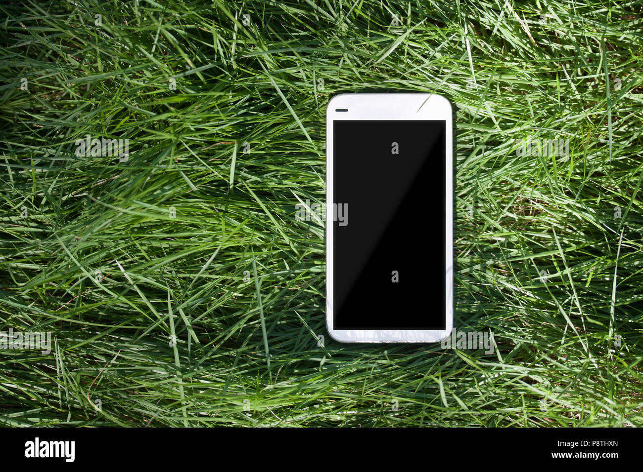 smartphone on grass background Stock Photo - Alamy