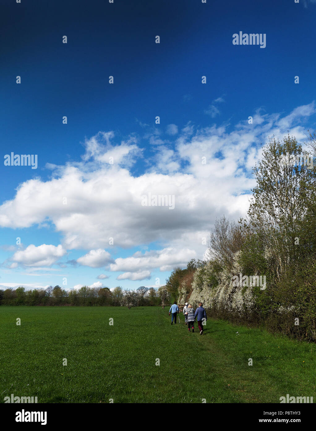 The Brian Hatton Trail, is self-guided walk around the 'Hatton Country ...