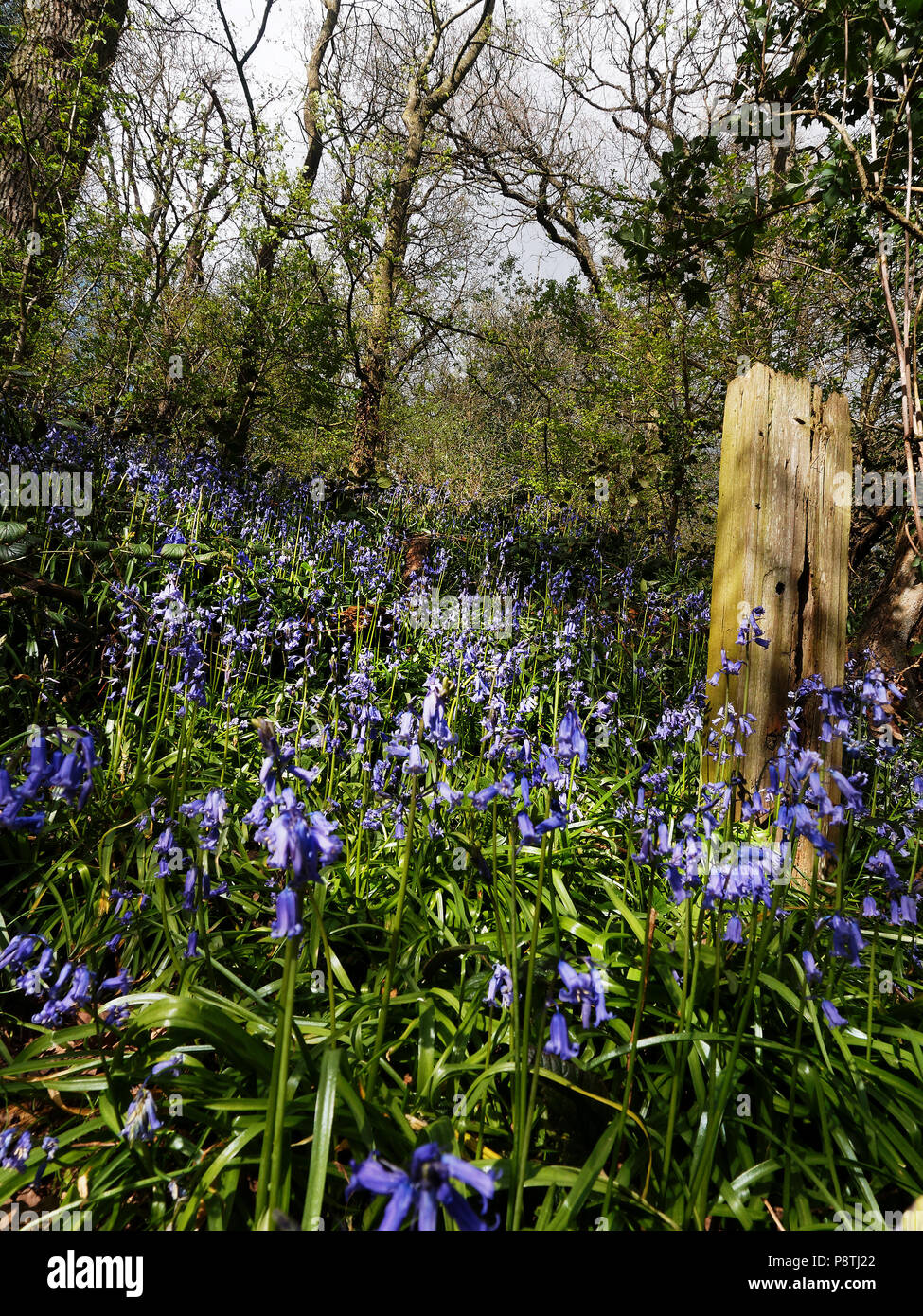 The Brian Hatton Trail, is self-guided walk around the 'Hatton Country ...