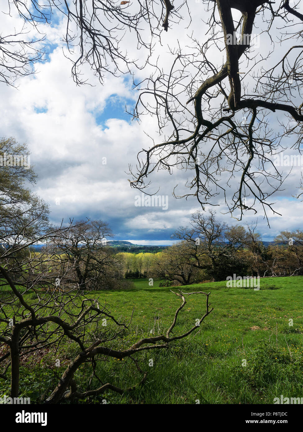 The Brian Hatton Trail, is self-guided walk around the 'Hatton Country ...