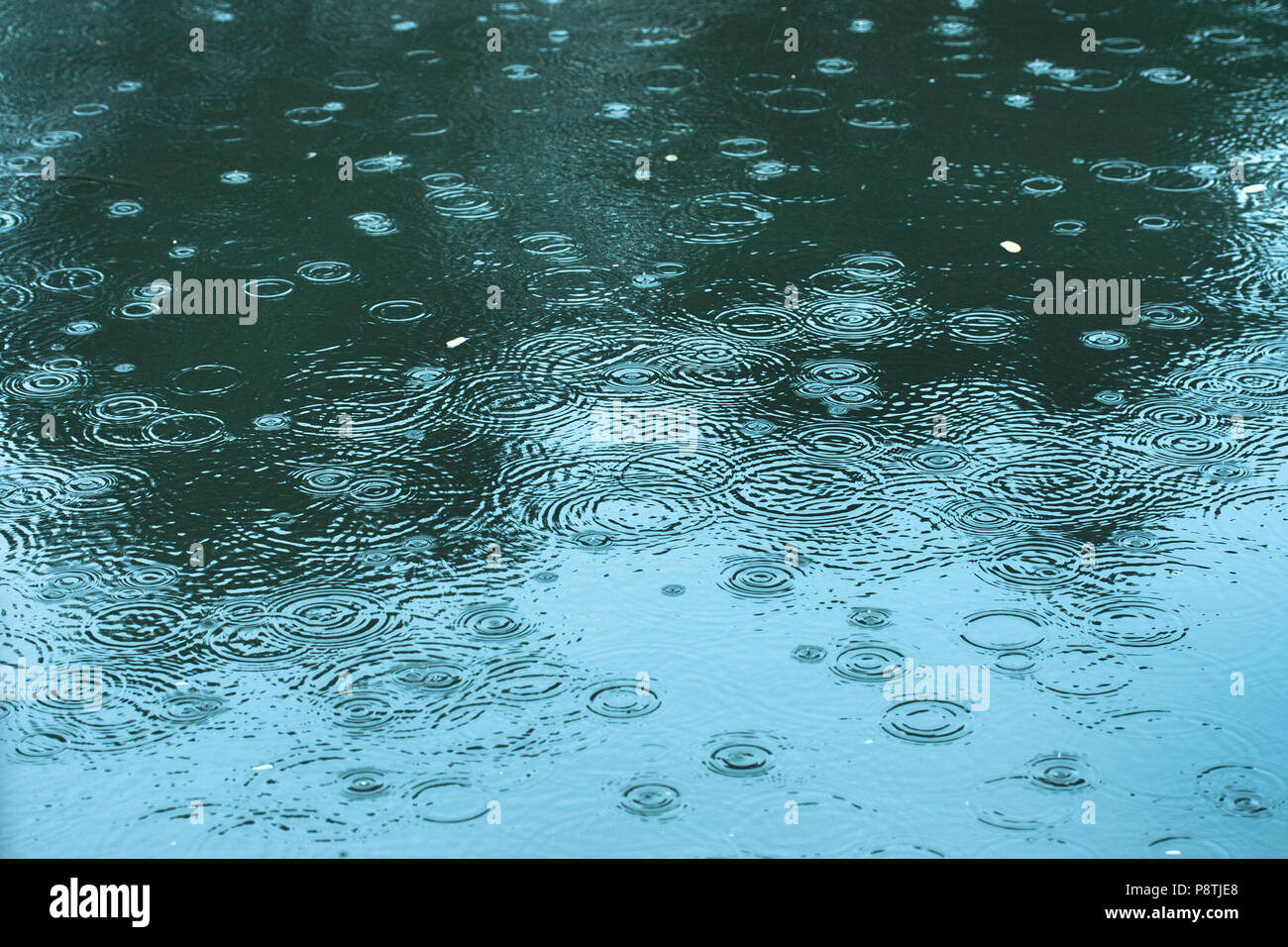 rain drops rippling in a puddle blue tone Stock Photo - Alamy