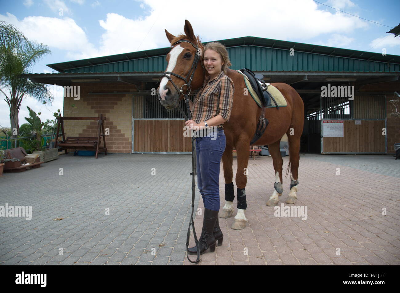 Lady horse beauty hi-res stock photography and images - Alamy