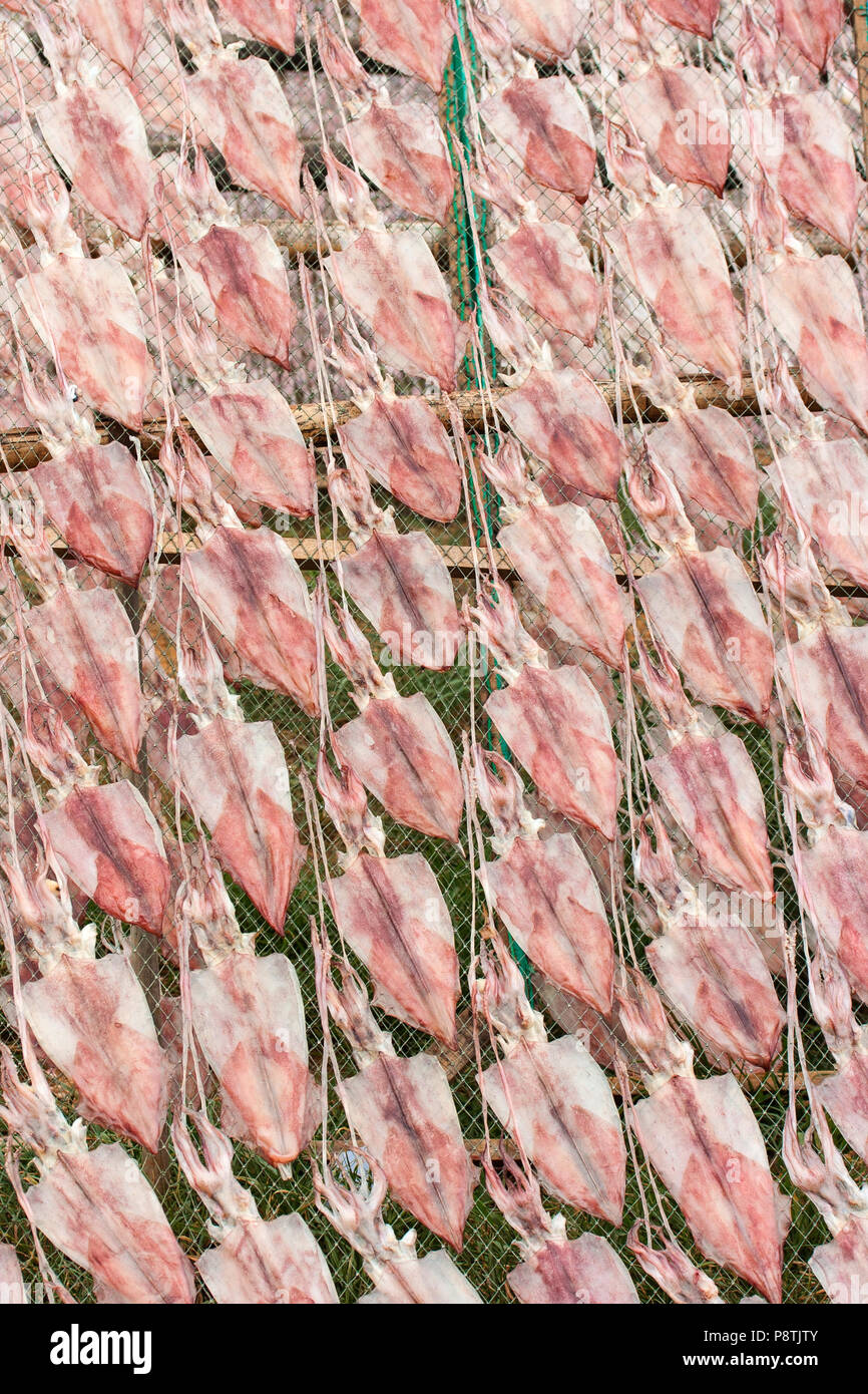 Sun dried squids hi-res stock photography and images - Alamy