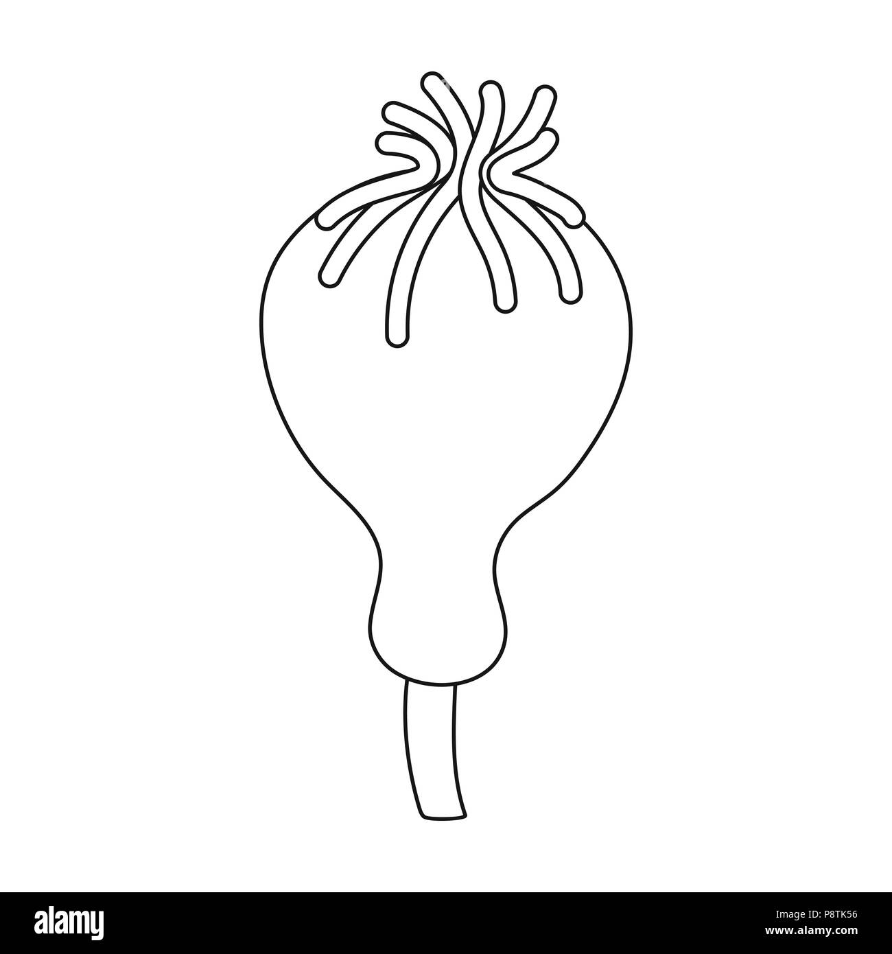 Opium poppy icon in outline style isolated on white background. Drugs ...