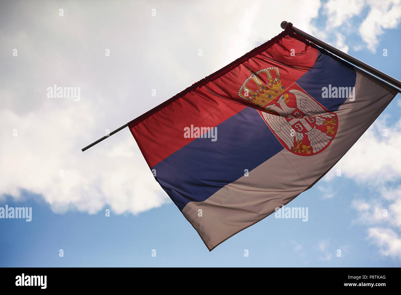 Official Serbian Flag
