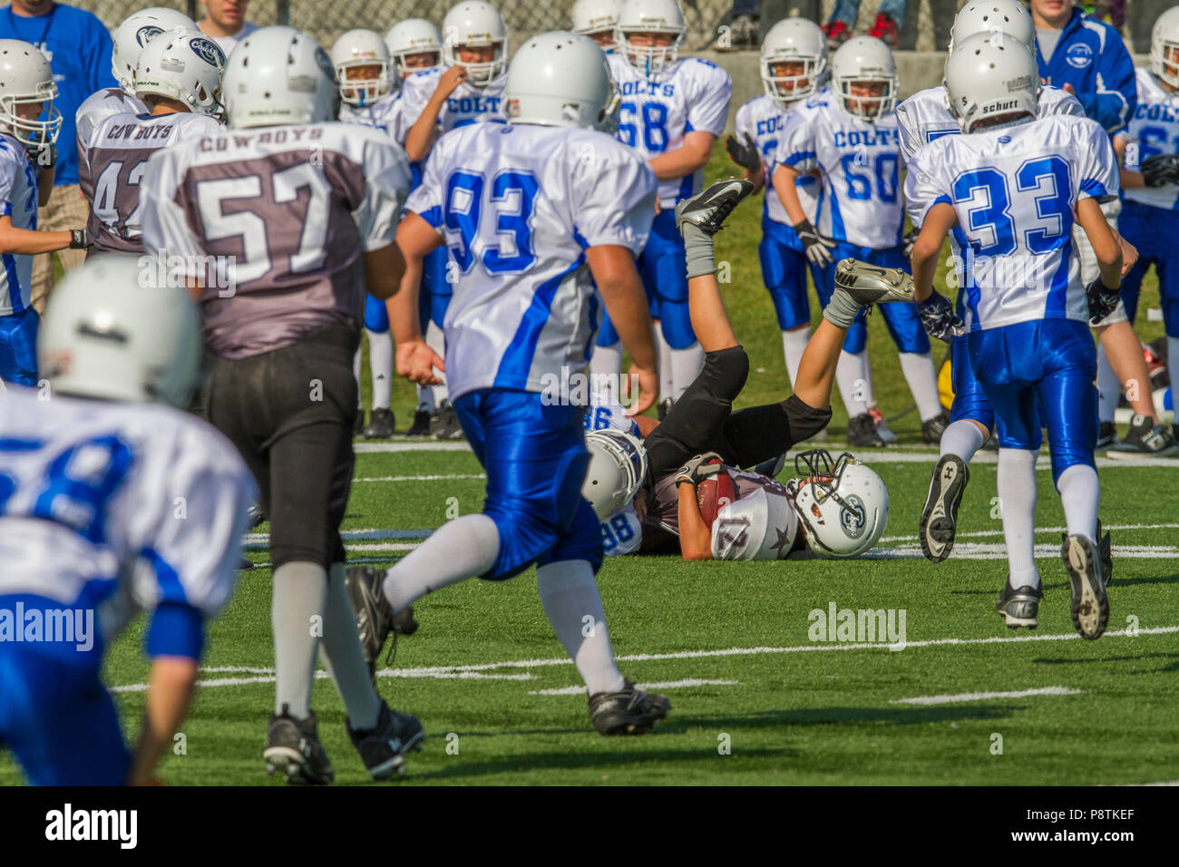 High school football team canada hi-res stock photography and images ...