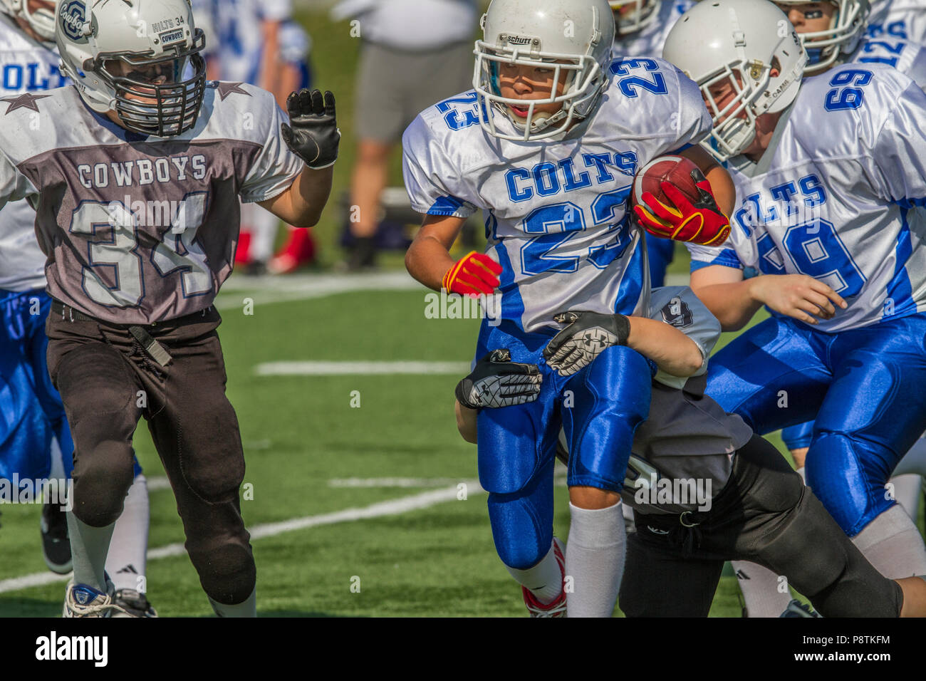Dramatic, colorful action photo's of Boys Bantam football in Calgary ...