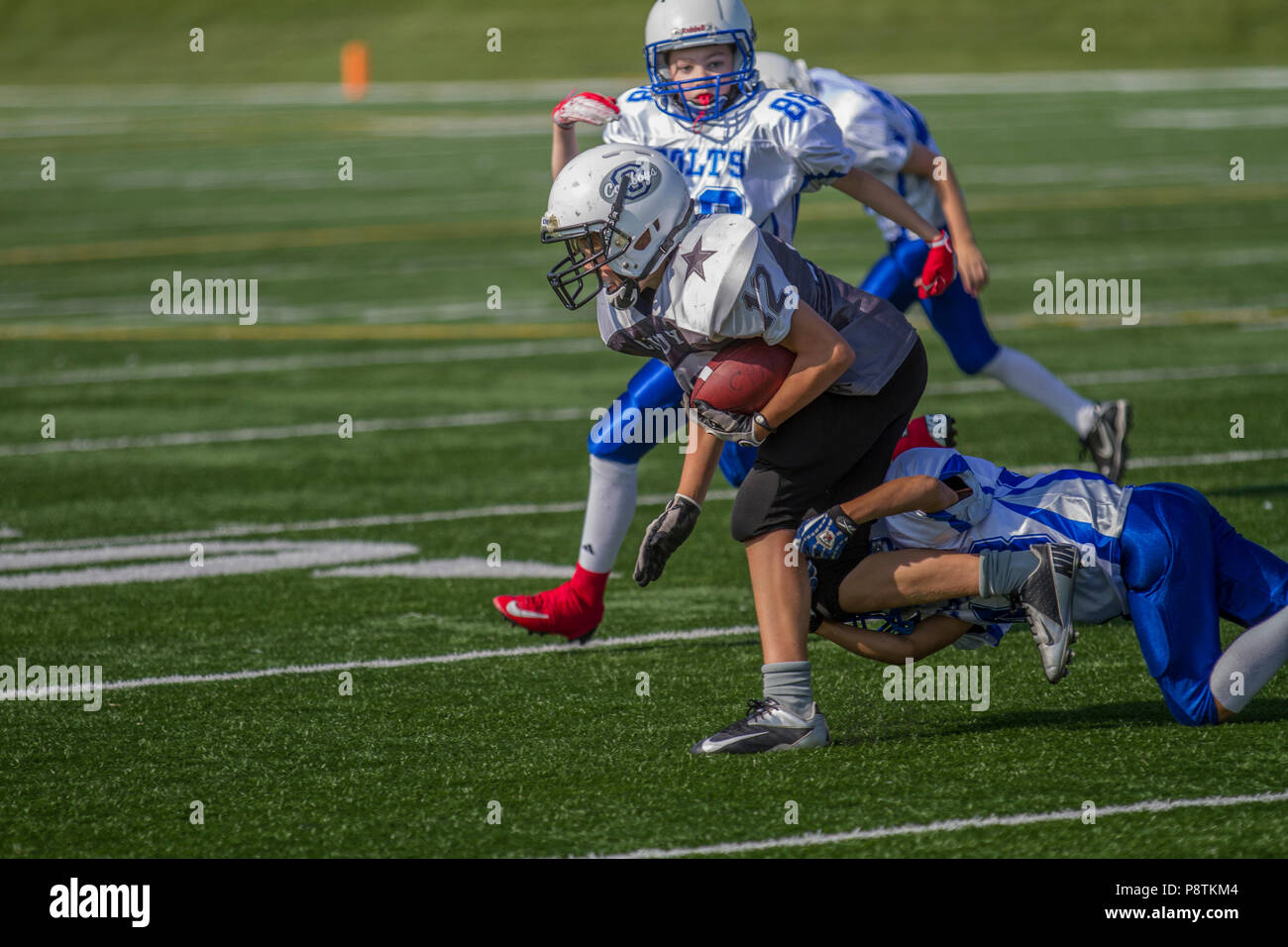 Dramatic, colorful action photo's of Boys Bantam football in Calgary ...