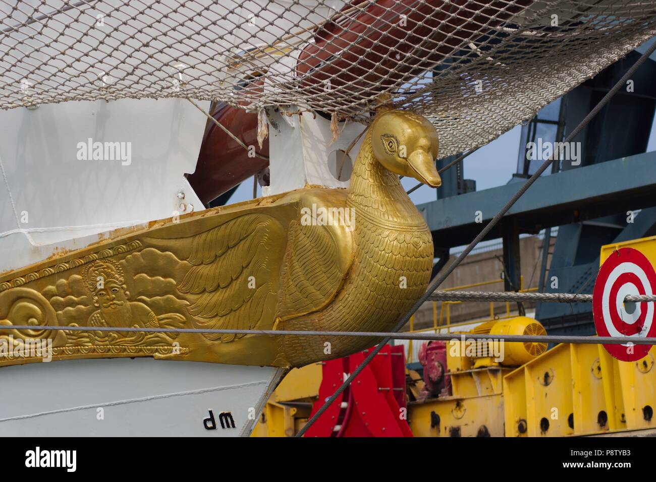 Golden duck hi-res stock photography and images - Alamy